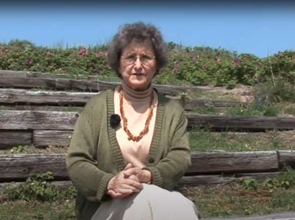 2021 – Sufipedia.org